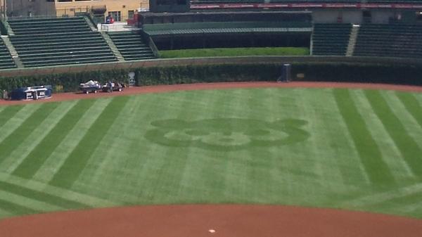 New Cubbie Bear logo cut into outfield grass. : r/Cubs