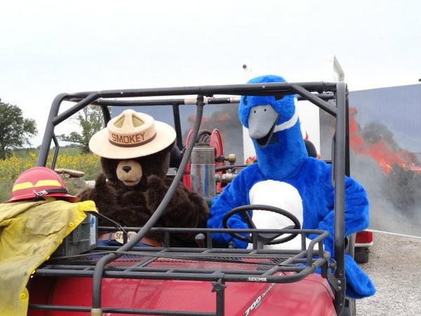 Blue Goose: Puddles the #USFWS Blue Goose with his friend