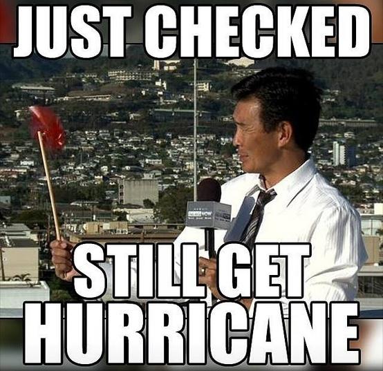 Lie Hagi Memes John Grogan | YouTubers, Instagrammers, TikTokers,