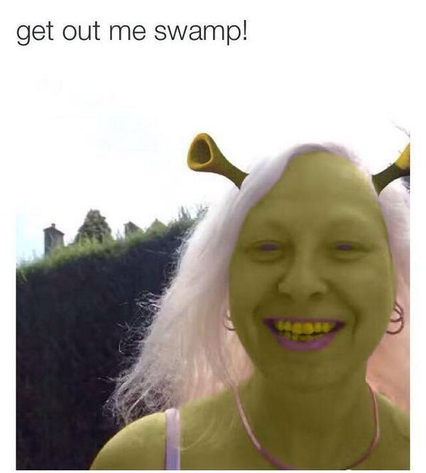 Get Out Me Swamp