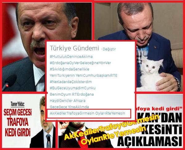 acar çiçek (@acar_cicek) | Twitter acar çiçek (@acar_cicek) | Twitter