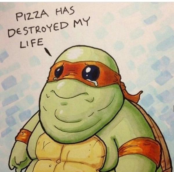 Turtle obesity is on the rise due to global warming. In fact there has ...