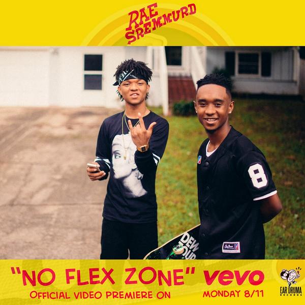 No Flex Zone Logo