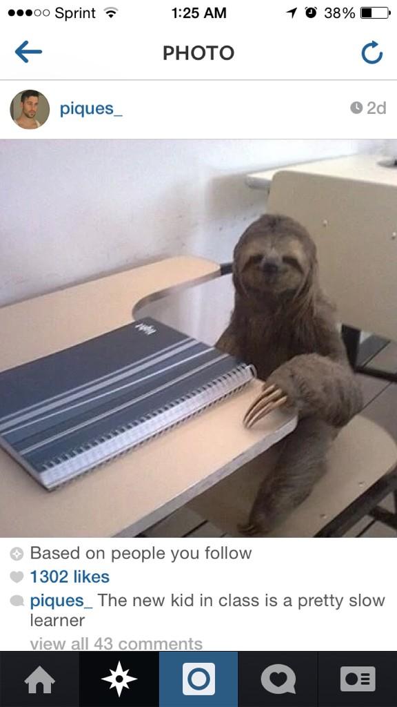 IG Sloth Rape (@_slothrape) | Twitter