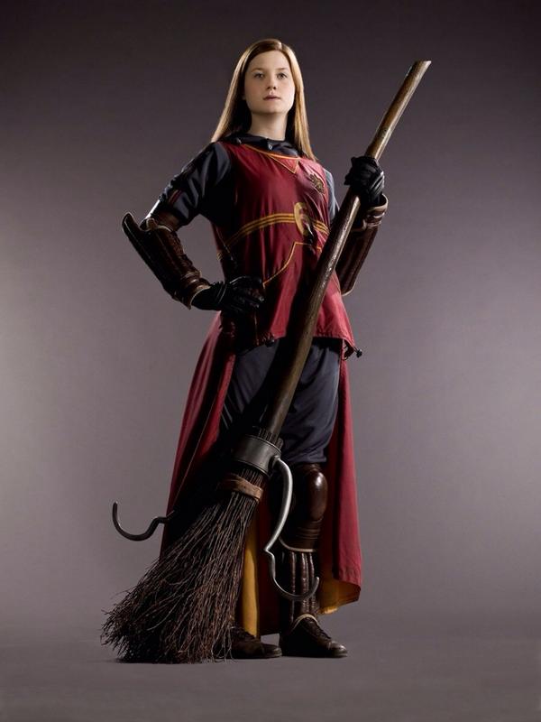 Gryffindor Quidditch Team Costume