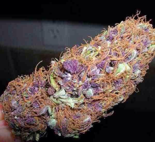 Purple Weed Nug
