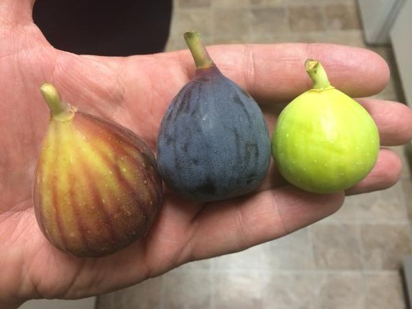 Scott Hackler (@ScottHackler) | Twitter