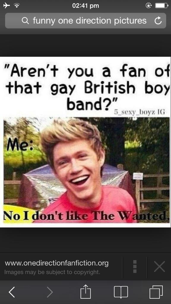 The Wanted And One Direction Memes