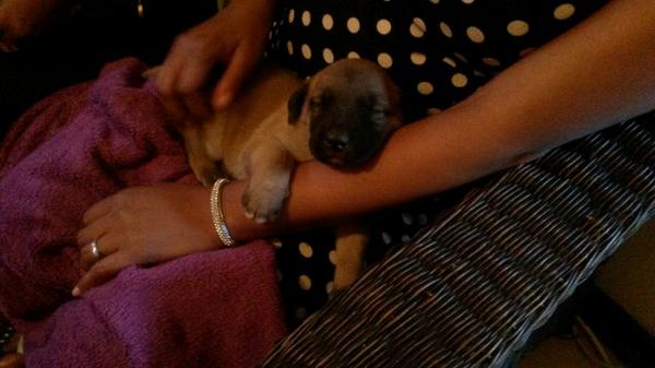 Choolwe Mweemba (@ChoolweMweemba) | Twitter