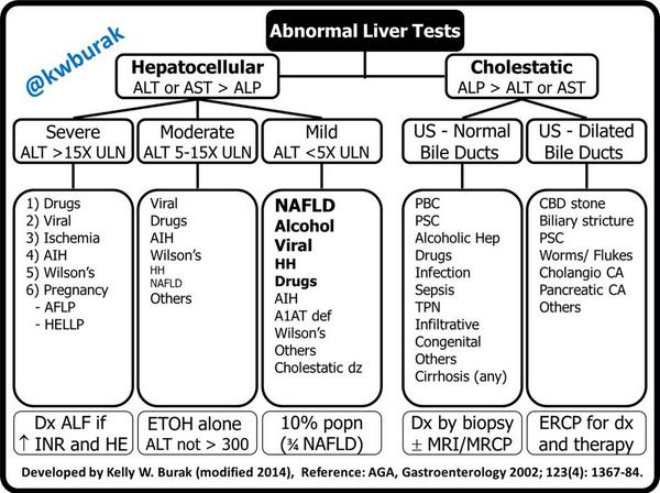 PAINE #PANCE Pearl – Gastrointestinal | PAINE Podcast and Medical Blog
