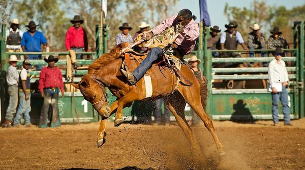 Borroloola rodeo weekend - part 3 - bucking broncos: #rodeo # ...