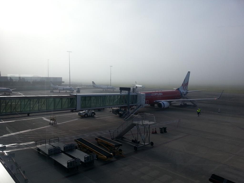 Ippei Kadota on Twitter: "Adelaide's been so good, she doesn't even want me to leave. # ...