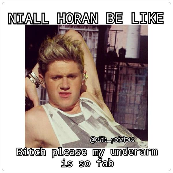 One Direction Memes Niall