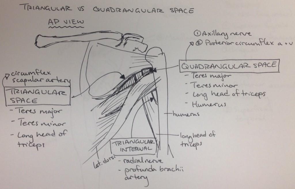 Quadrangular Space Drawing