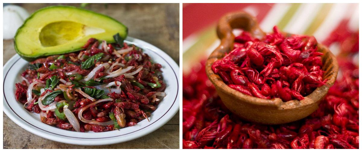 las comidas mas exóticas del mundo