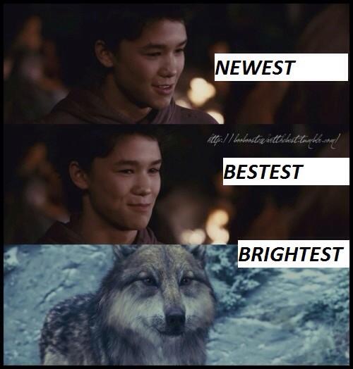 Twilight Wolf Pack Seth