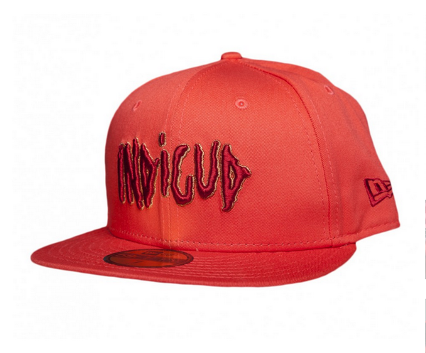 Logo Indicud