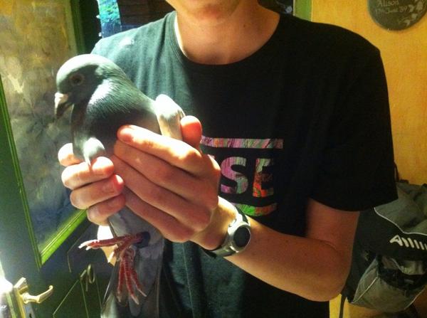 Edward Longman (@edLongman) | Twitter