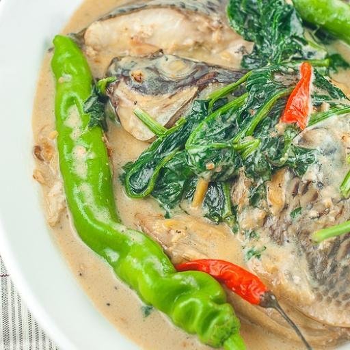 Vanjo Merano | twtrland