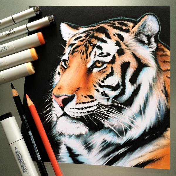 Sharpie Drawings Of Tigers