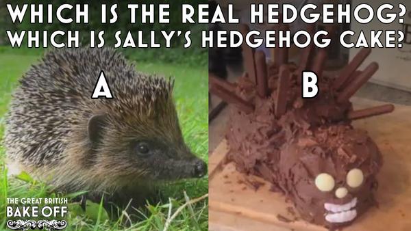 British Bake Off on Twitter: "One of these is Sally’s hedgehog cake ...