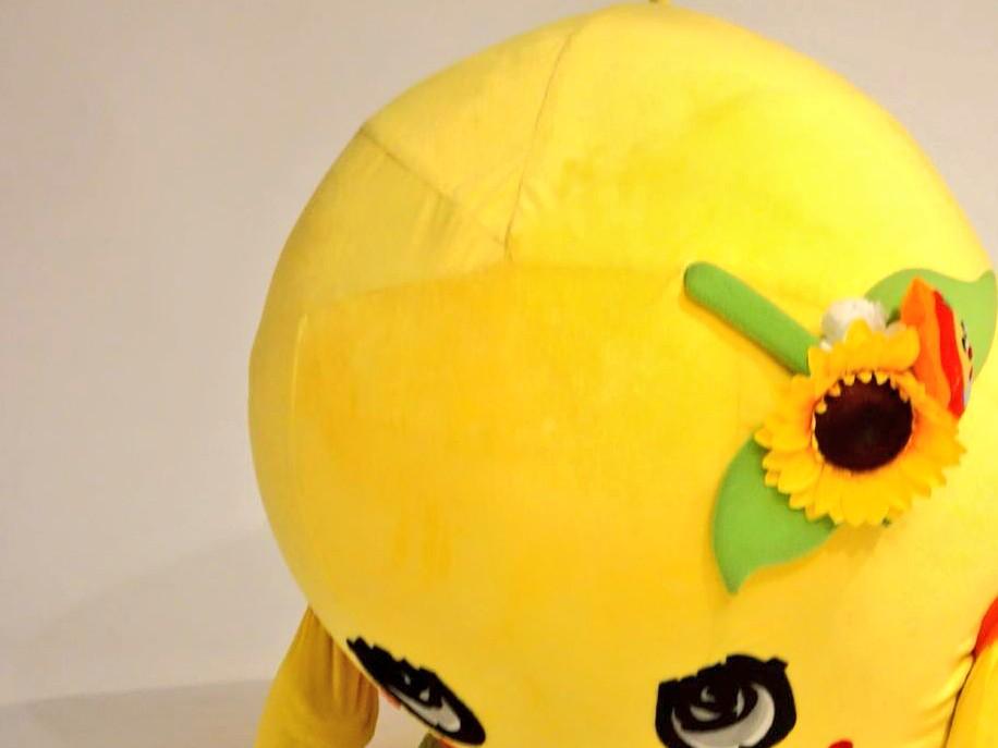 Funassyi becomes the Super Moon | funassyiworld