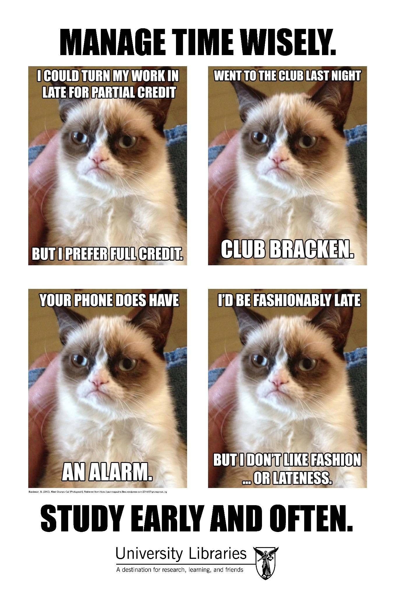Good Work Grumpy Cat Memes Here Are The Best Grumpy Cat Memes...