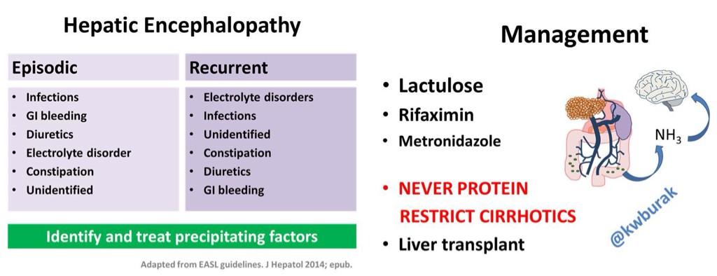 Lactulose Mechanism Of Action