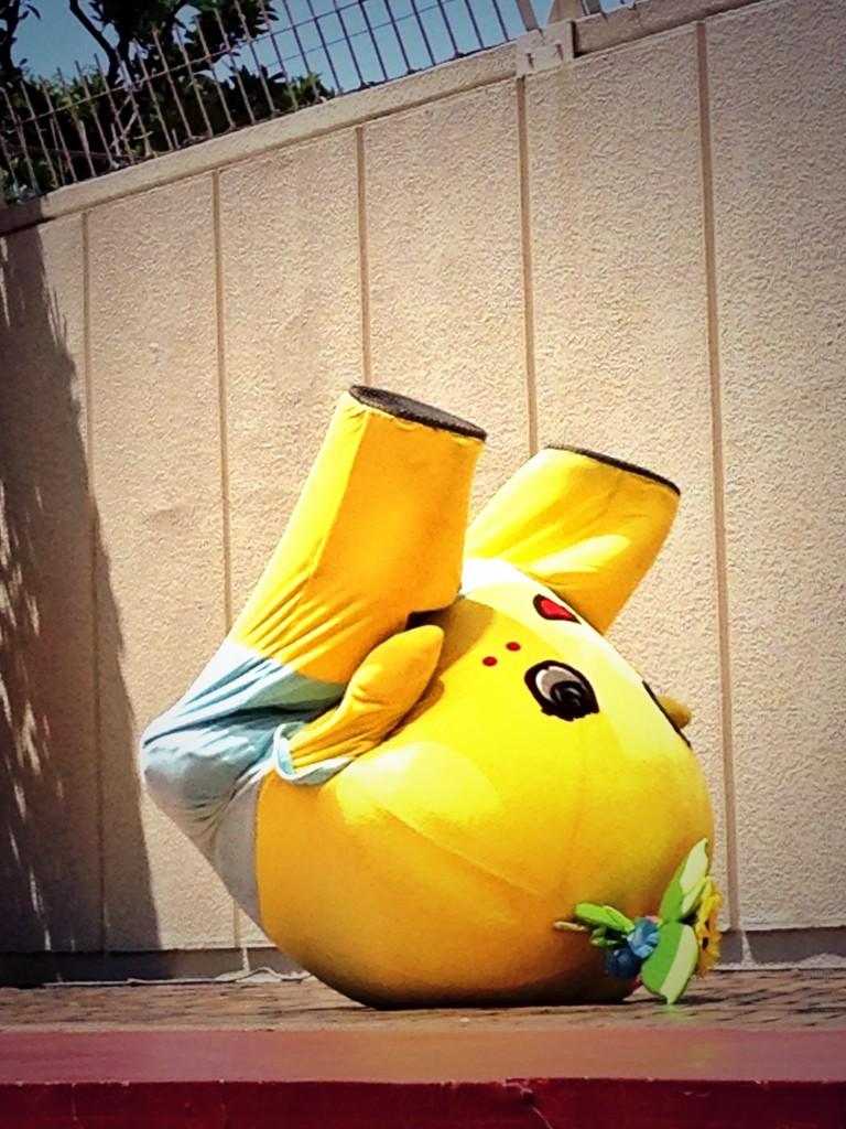 Funassyi’s flexibility reaches new heights (literally) on Twitter ...