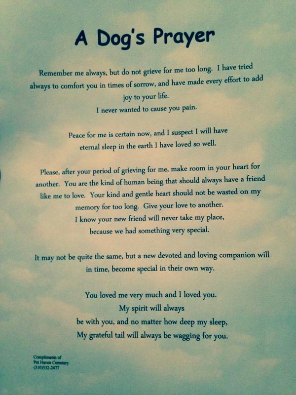 Beautiful Prayers For The Loss Of A Dog: Find Heaven, 54% OFF