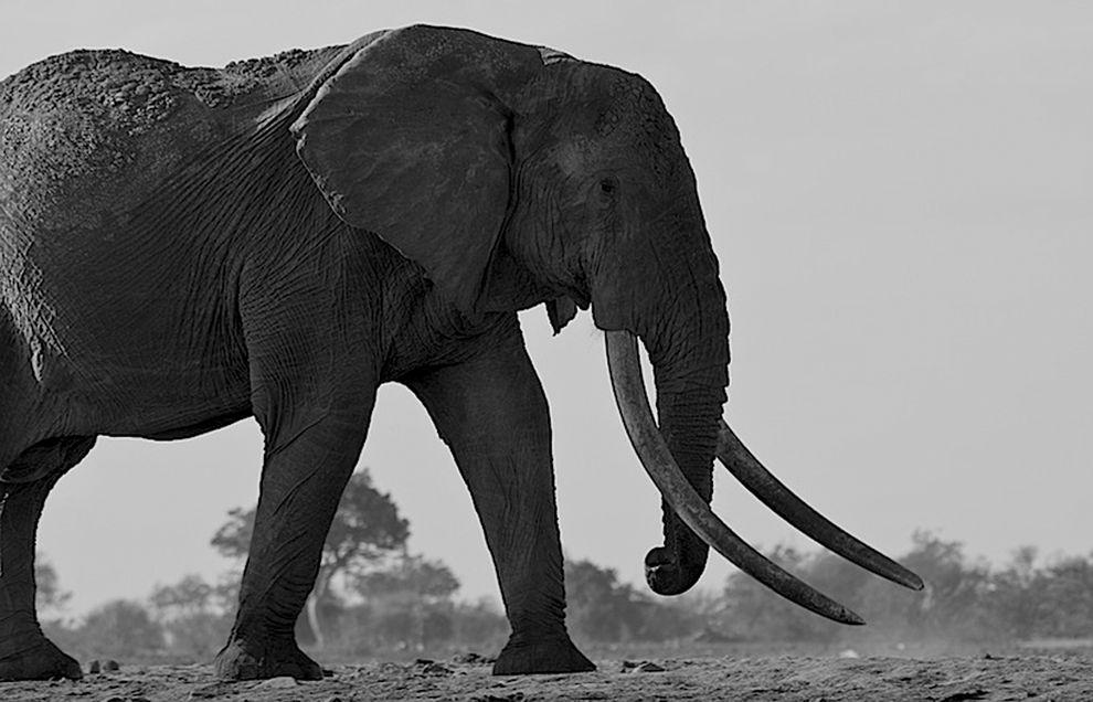 joseph gitonga nyaga on Twitter: "https://t.co/v9dFSFzYxV"