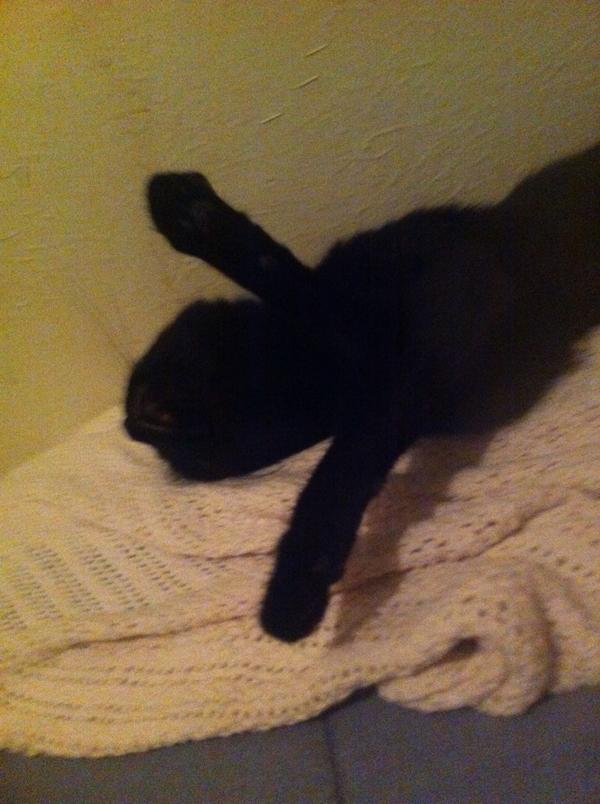 michael gresko (@MichaelGresko) | Twitter