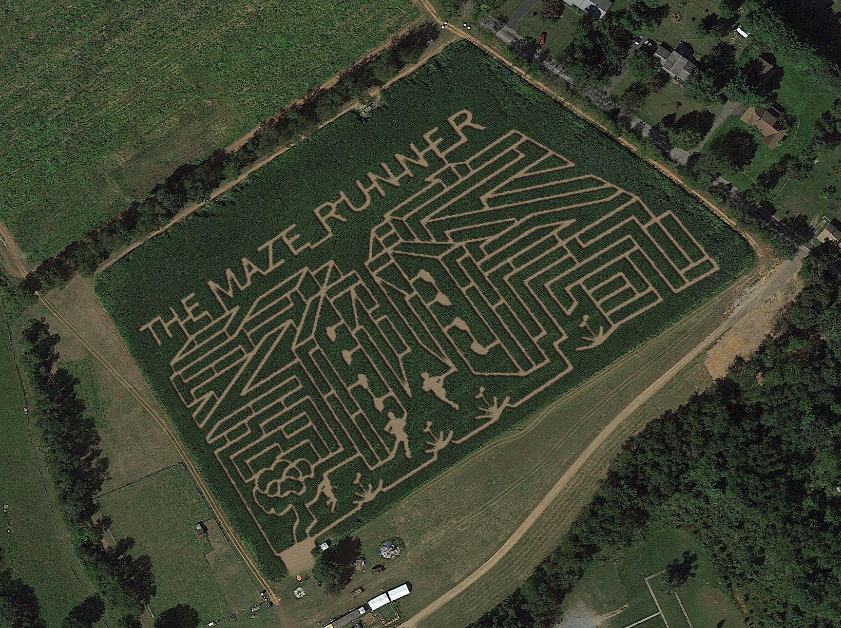 Real Maze Aerial
