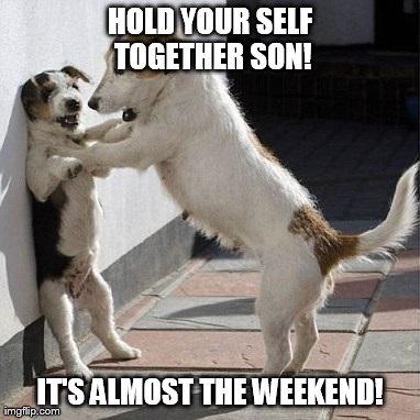 Weekend Almost Here Funny