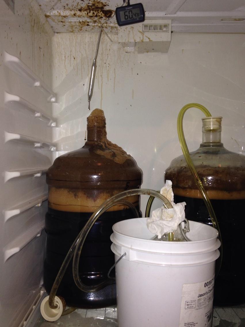 English Ale Yeast exploding beer | Community | BeerAdvocate