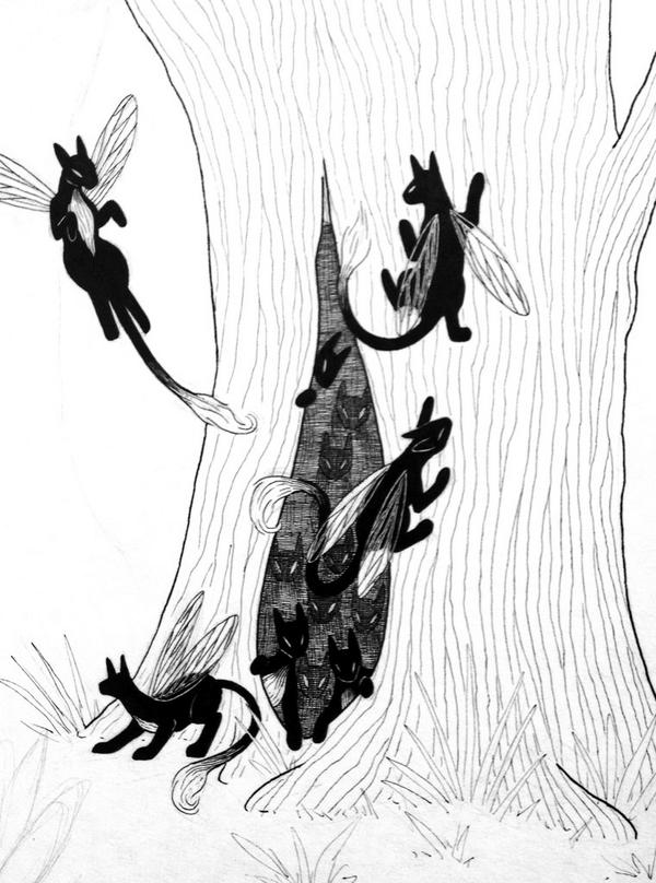 La Boda De Ryan Mcelroy