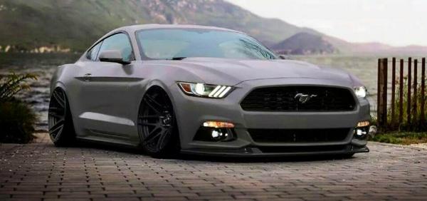 Matte Grey Mustang