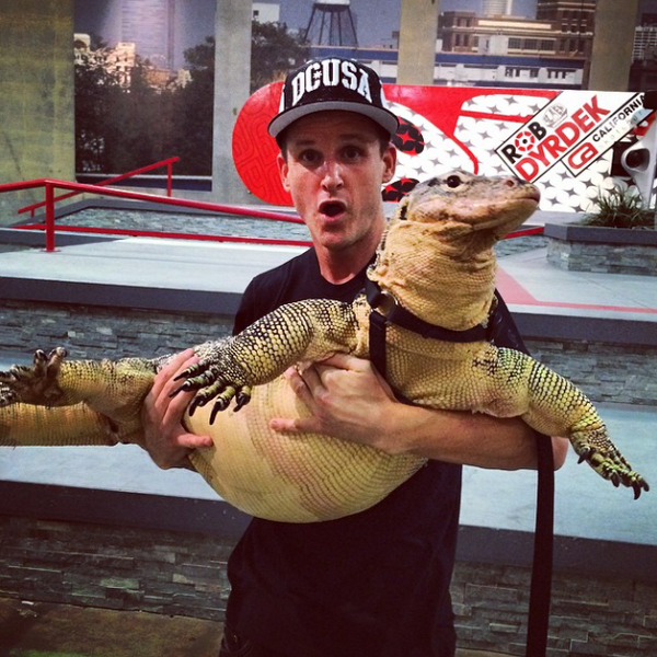 Water Monitor Lizard Mr Kipling