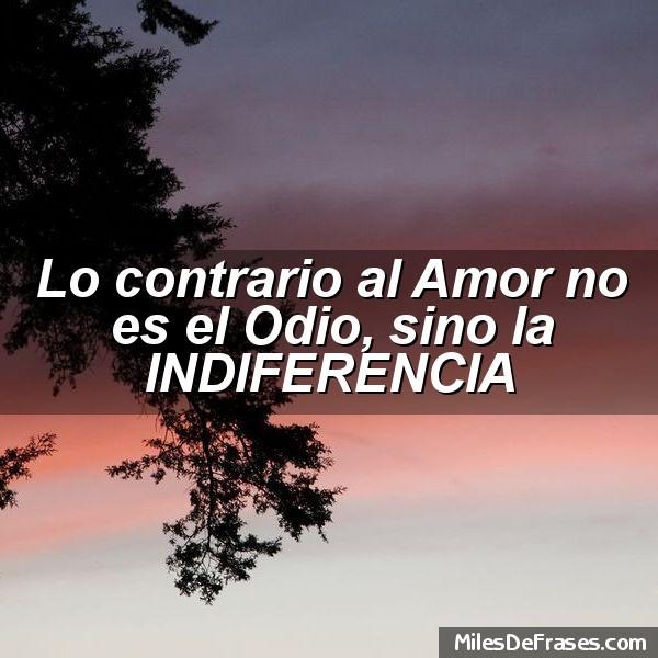 Lo Contrario Al Amor