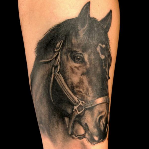 Spike Tattoos Ink Master Wikipedia