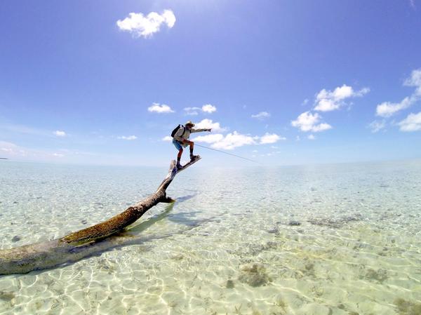 David Devaney (@davidpdevaney) | Twitter