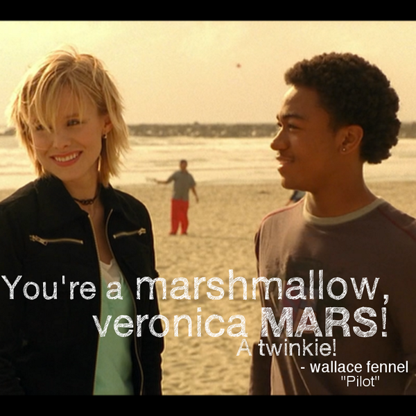 Veronica Mars Quote
