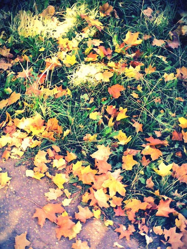 Юлия (@julia_ivleva) | Twitter