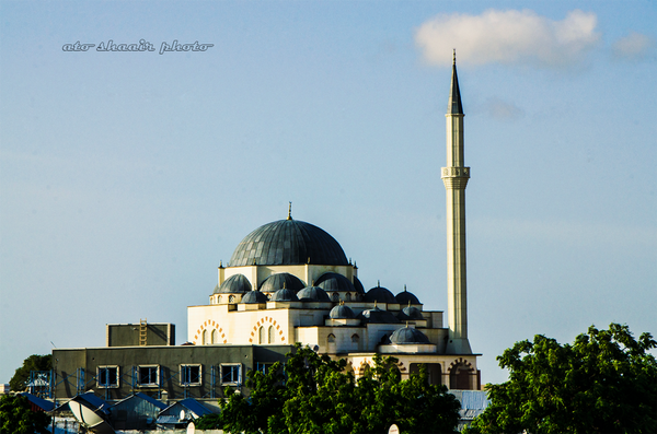 Somali Mosques | Minarets and Domes | Picture Gallery | Page 4 ...