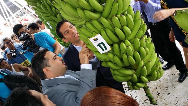 Interesante aprender sobre el mundo bananero en la feria mundial del ...