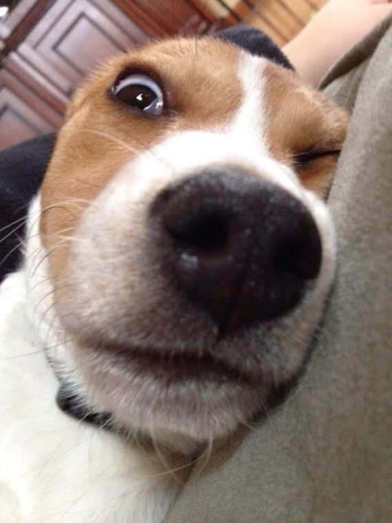 Shane Thacker (@thacker_shane) | Twitter