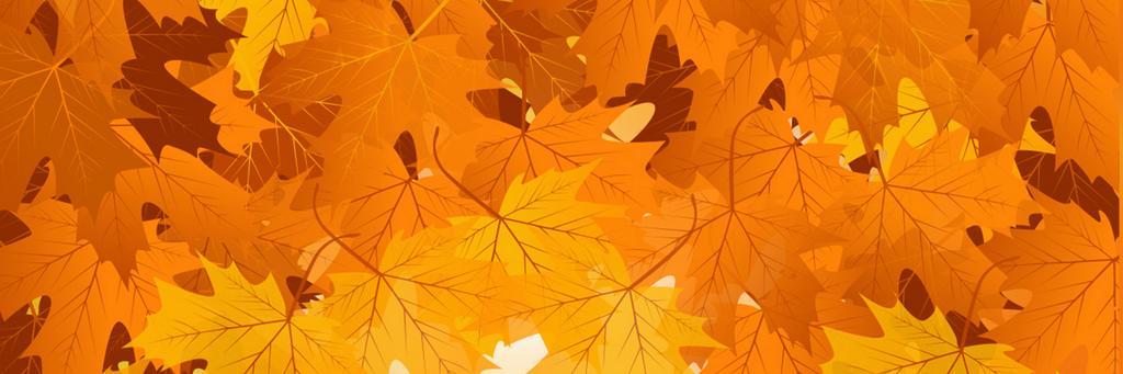 Fall Leaves Header