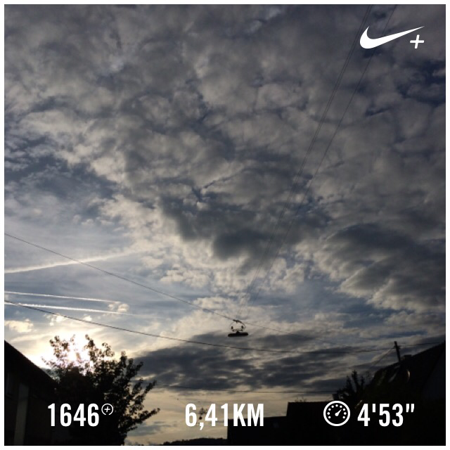 Pascal (@ph3nx) | Twitter