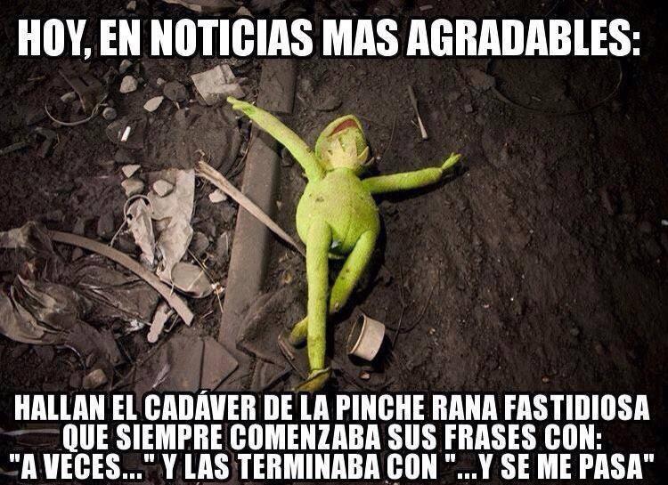 La Rana Triste Memes