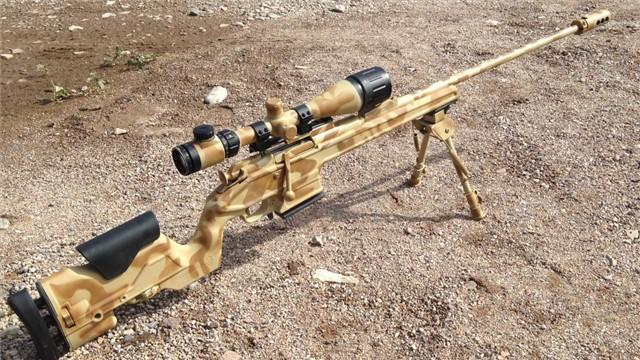 Custom Camo Mosin Nagant